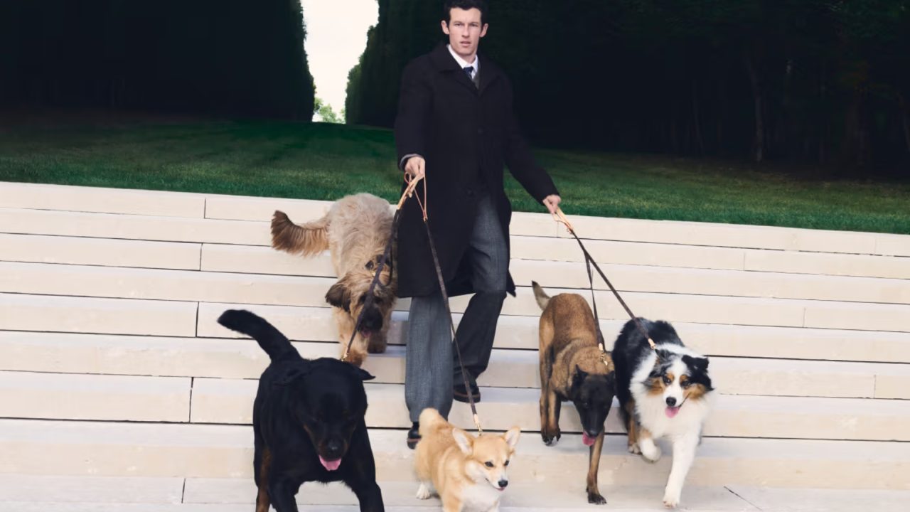 Dog Accessories Collection 2026: Louis Vuitton lança luxo canino com ...