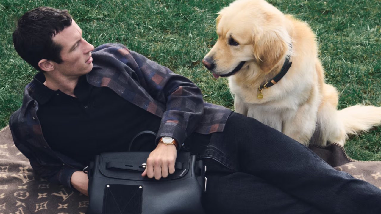 Dog Accessories Collection 2026: Louis Vuitton lança luxo canino com ...